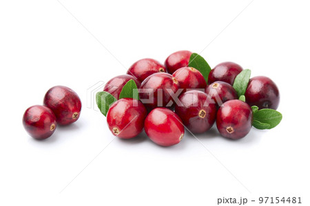 Single Cranberry