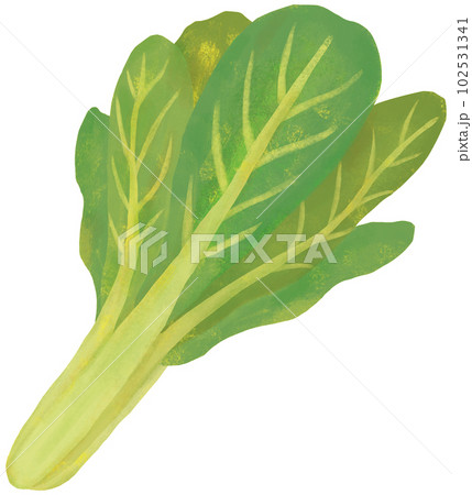 Mustasa Clipart