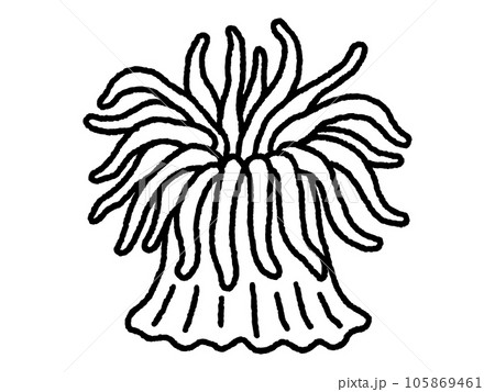 Sea Anemone Drawing Simple